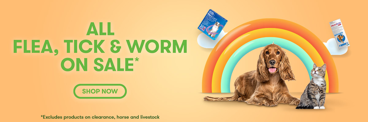 Discount pet products store