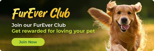 Budget pet supply store