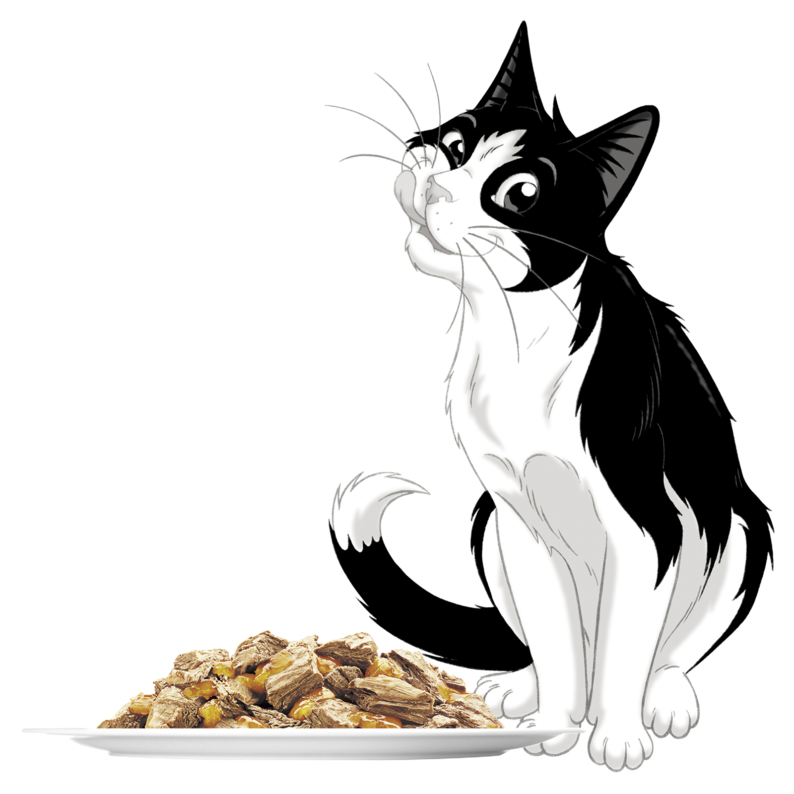 Felix Multipack Meat Menu Chicken Lamb Beef In Jelly Pouches Wet Cat ...