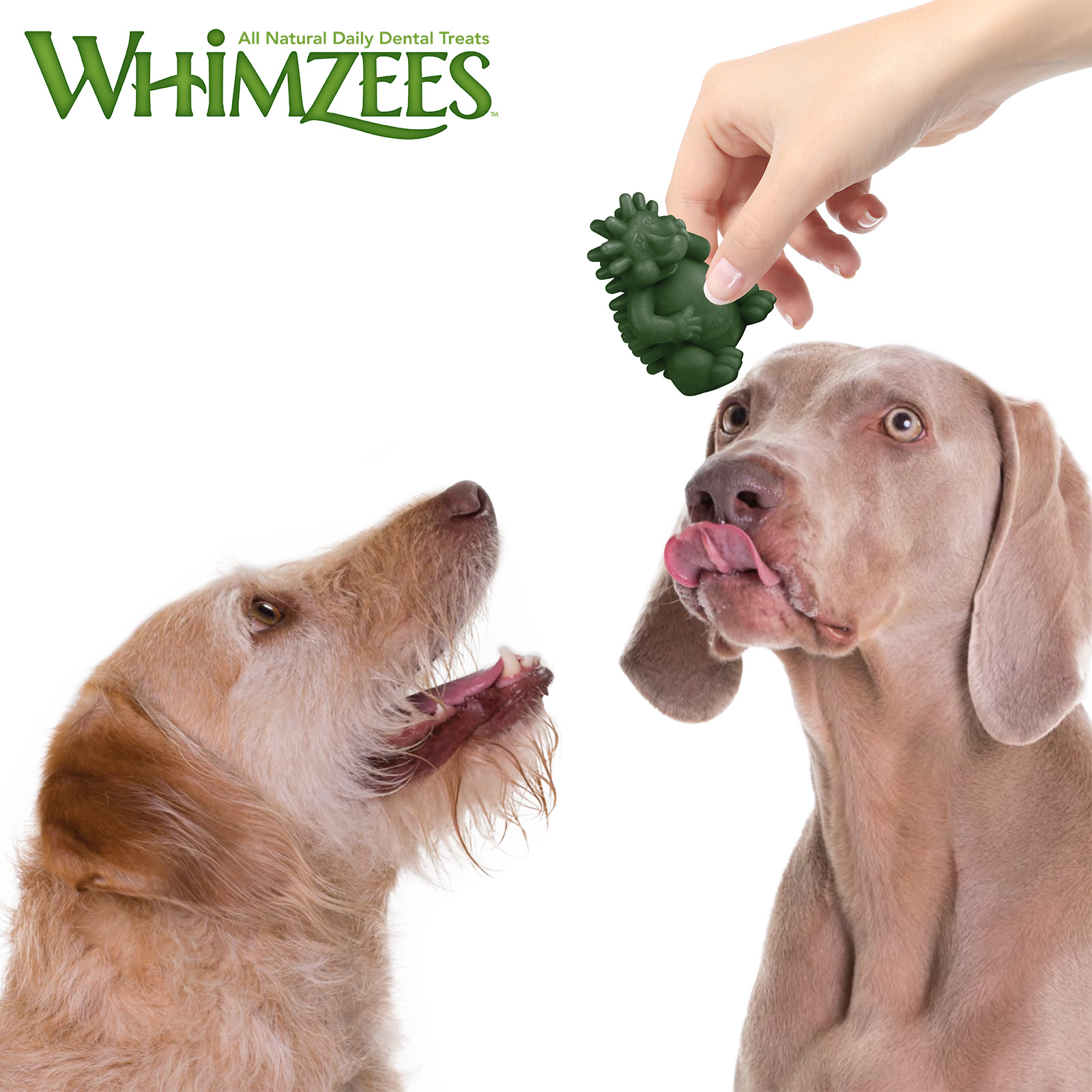 Whimzees Dental Hedgehog Large Treats For Dogs 18-27kg 6 Pack 360g - $28.94