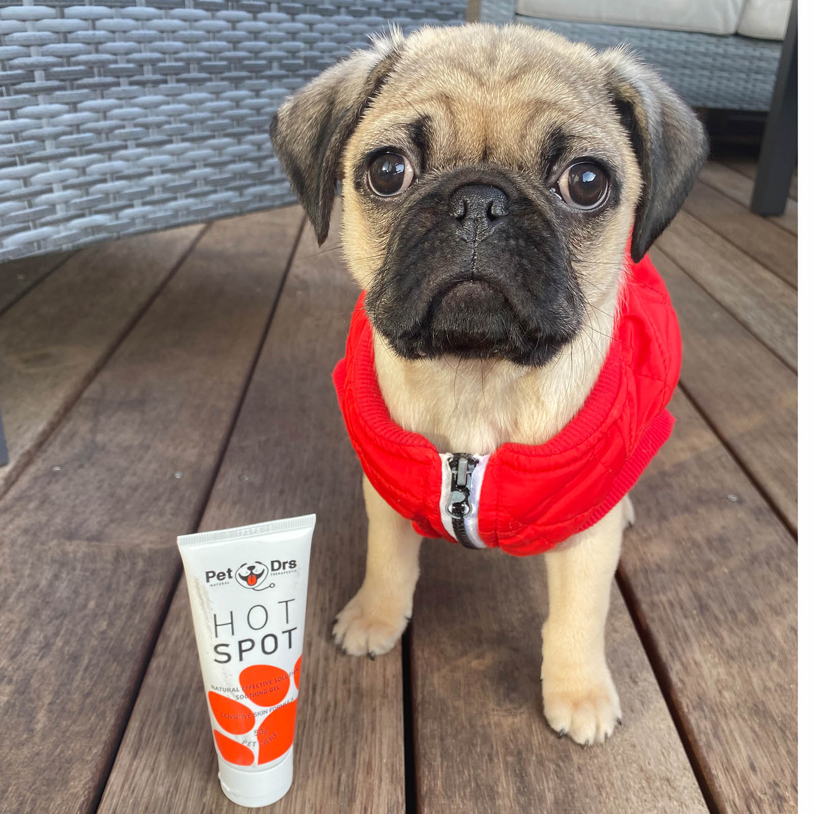 Pet Drs Natural Hot Spot Sensitive Skin Soothing Gel For Dogs 50g - $18.99