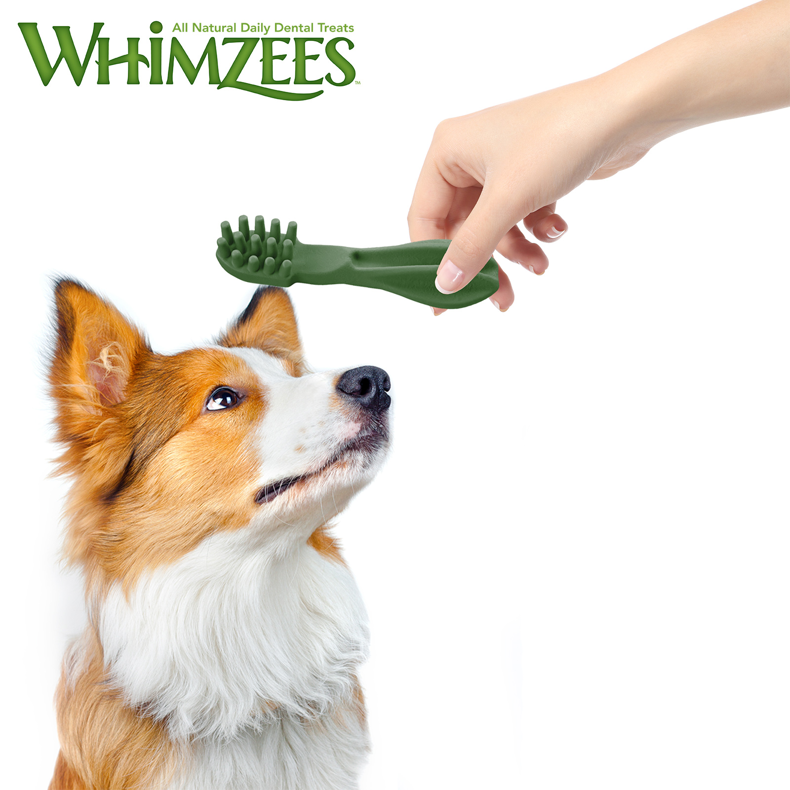 Whimzees Dental Variety Value Box Medium Treats For Dogs 12-18kg 28 ...