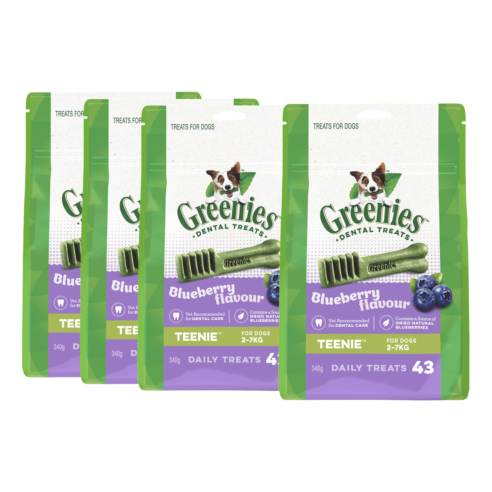 Greenies Dental Treats Blueberry Teenie For Dogs 2 - 7kg (172 Treats) 1 ...