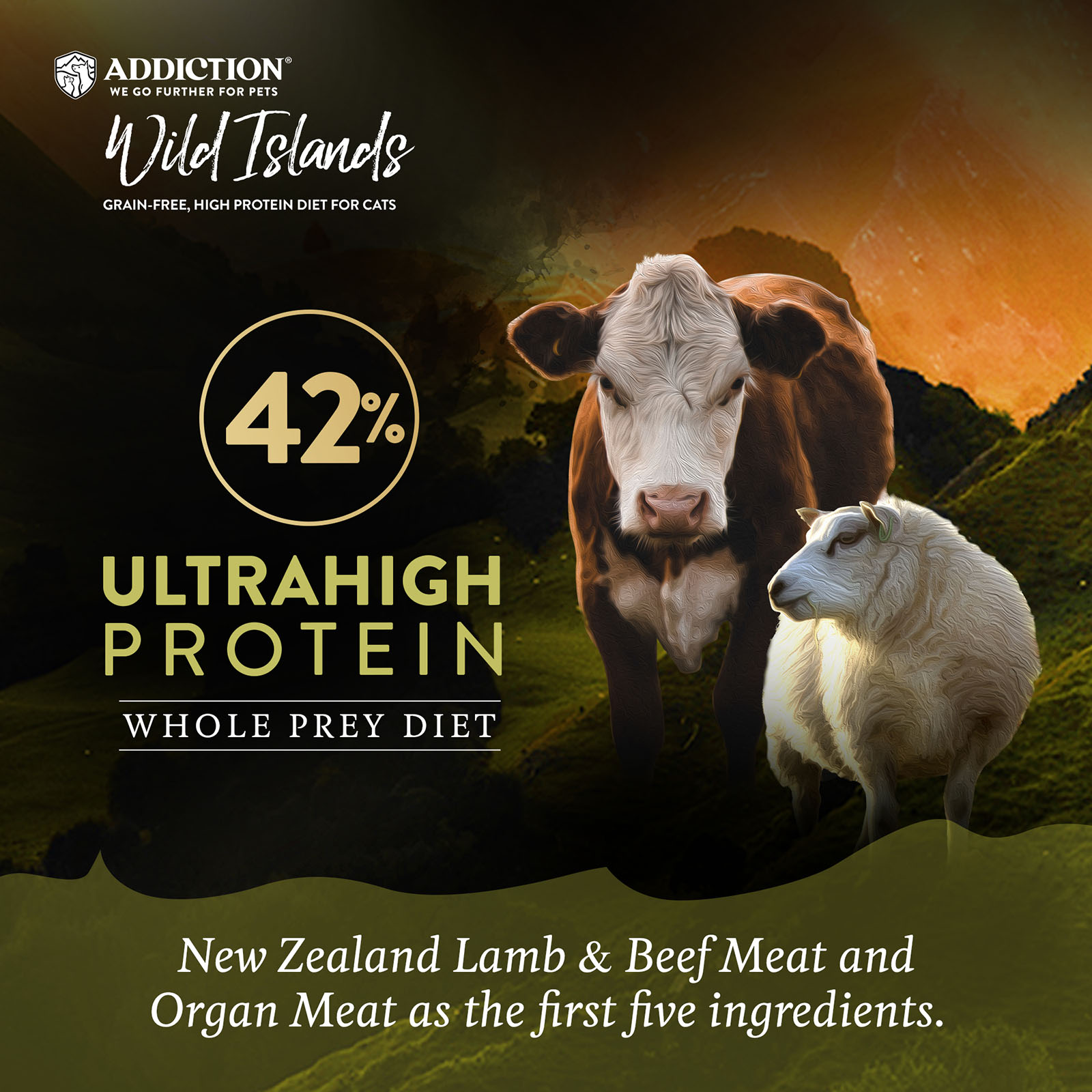 Addiction Wild Islands Highland Meats Recipe Lamb And Beef Grain Free ...