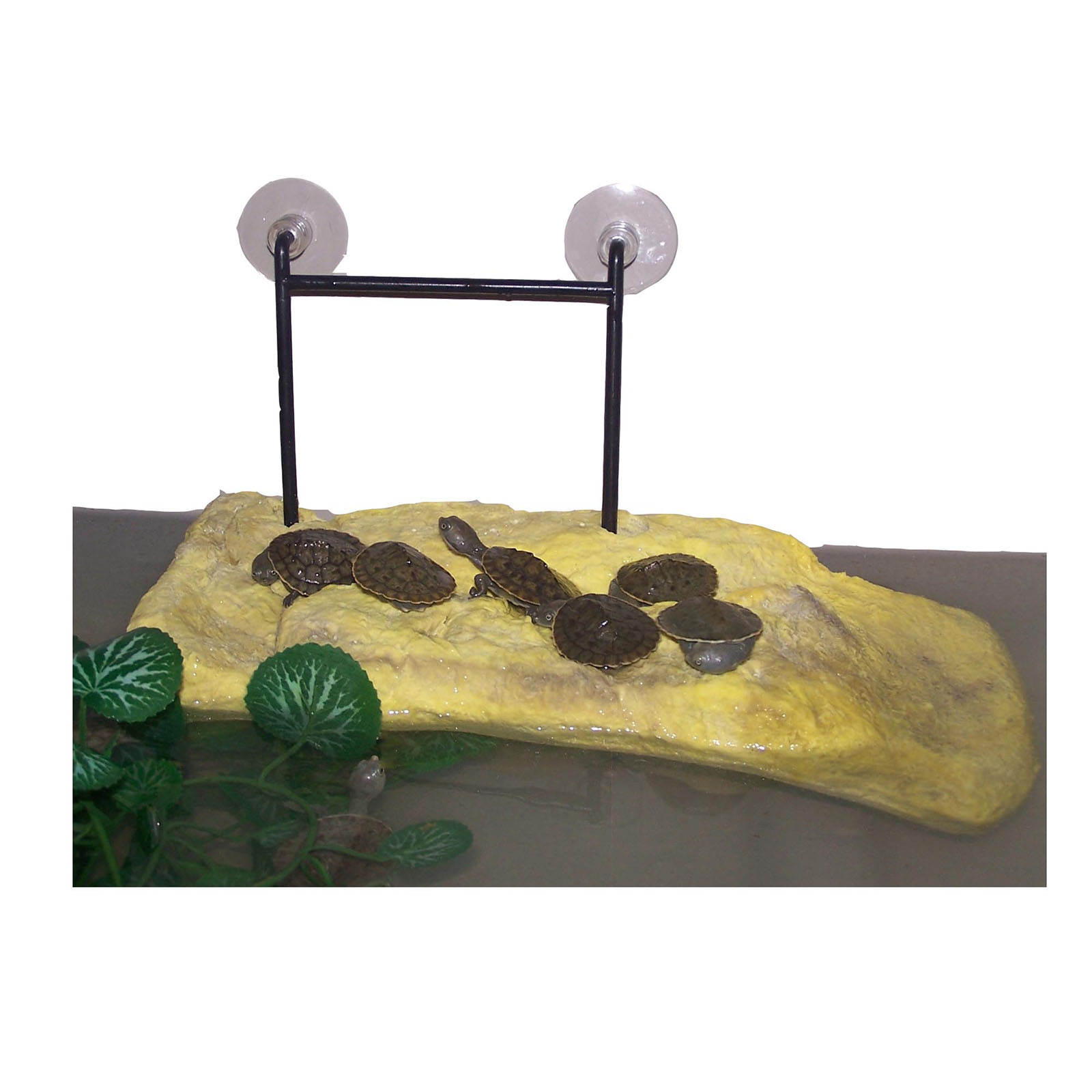 URS Pontoon Basking Platform Large For Turtle Frog Reptile And ...