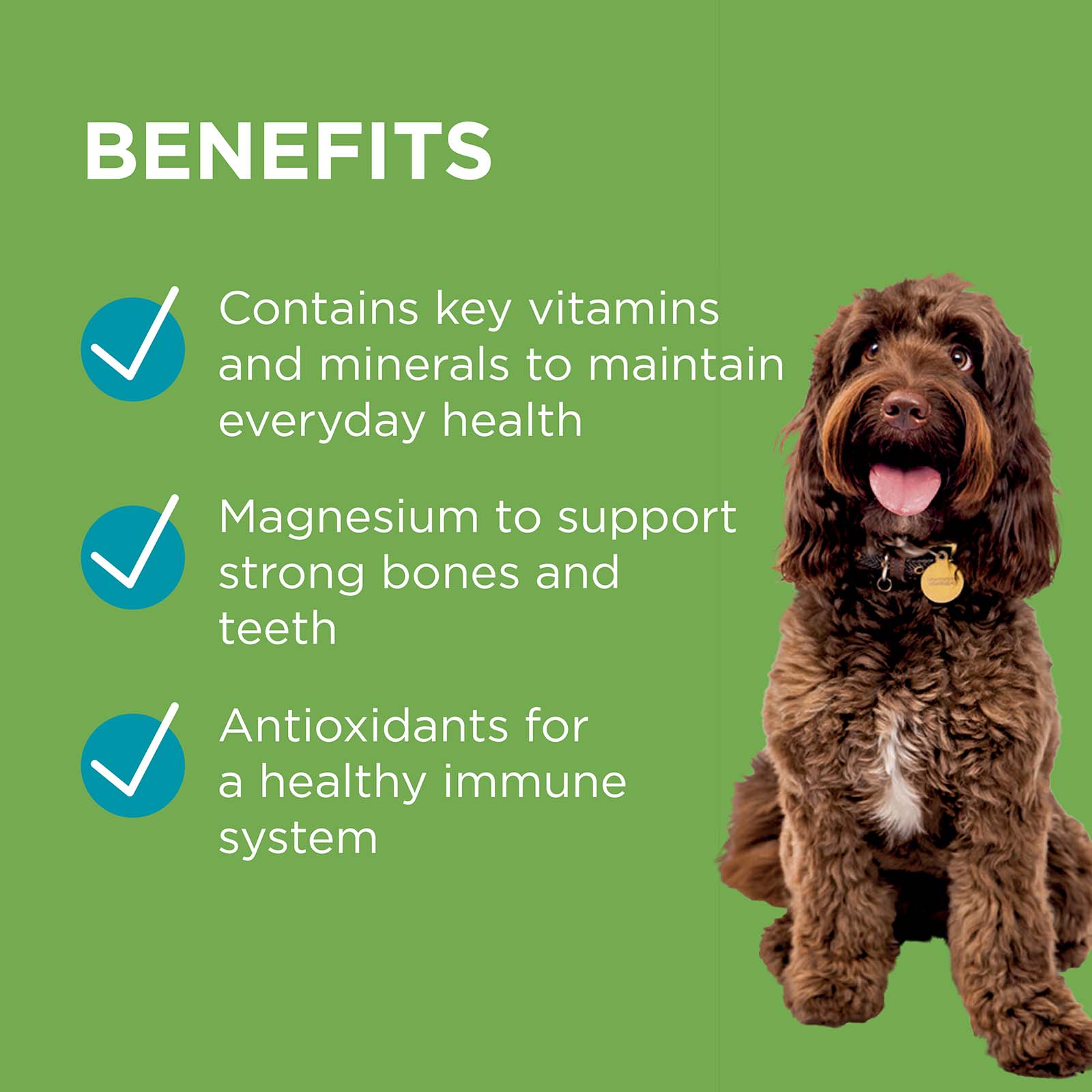 PAW By Blackmores Wellness And Vitality Multi Vitamin For Dogs 300g ...