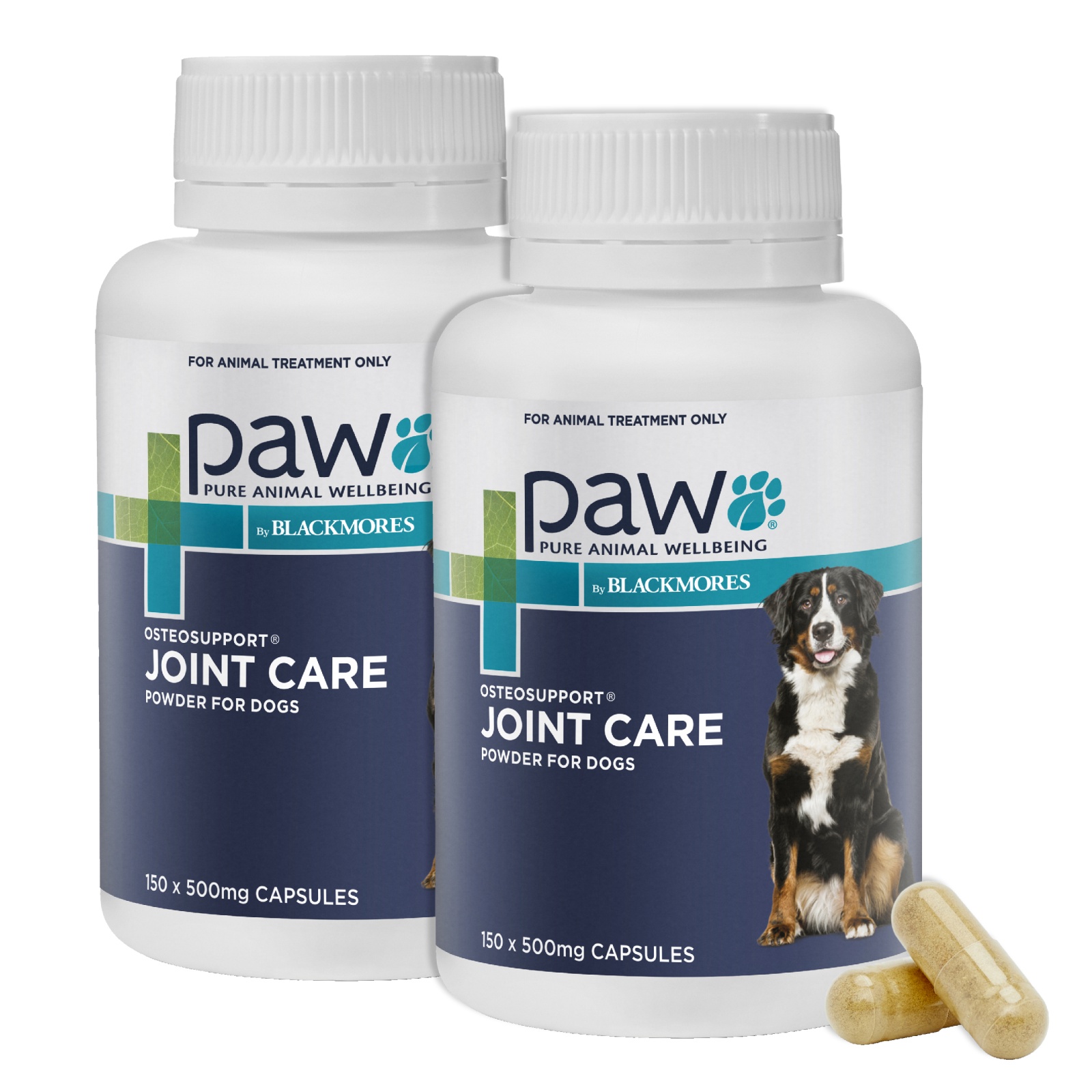 PAW By Blackmores Osteosupport Joint Care Powder For Dogs 500mg x 300 ...