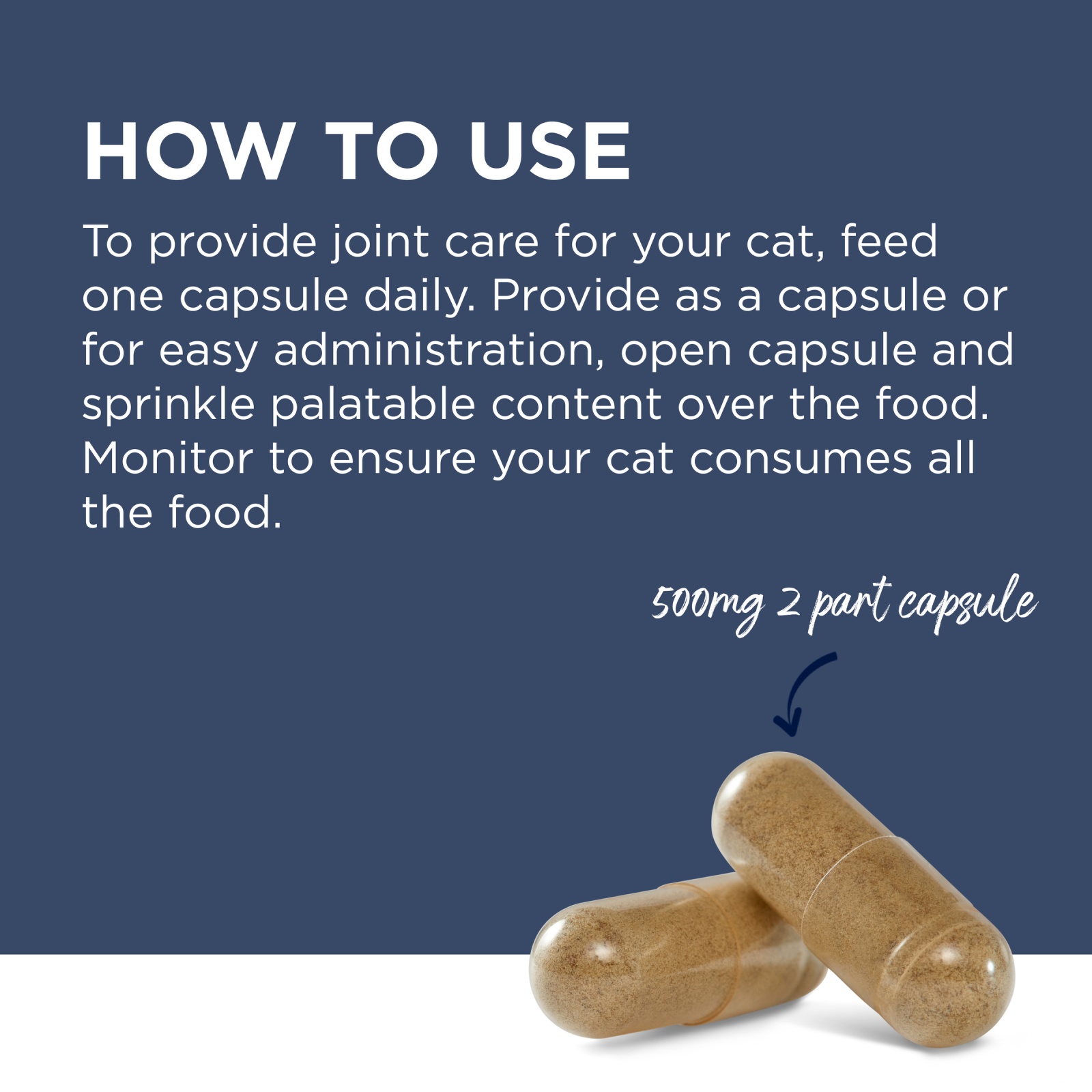 PAW By Blackmores Osteosupport Joint Care Powder For Cats 500mg x 60 ...
