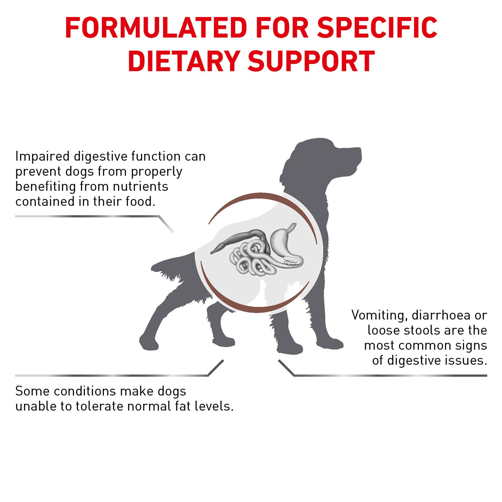 Royal Canin Veterinary Diet Canine Gastrointestinal Low Fat Dry Dog ...