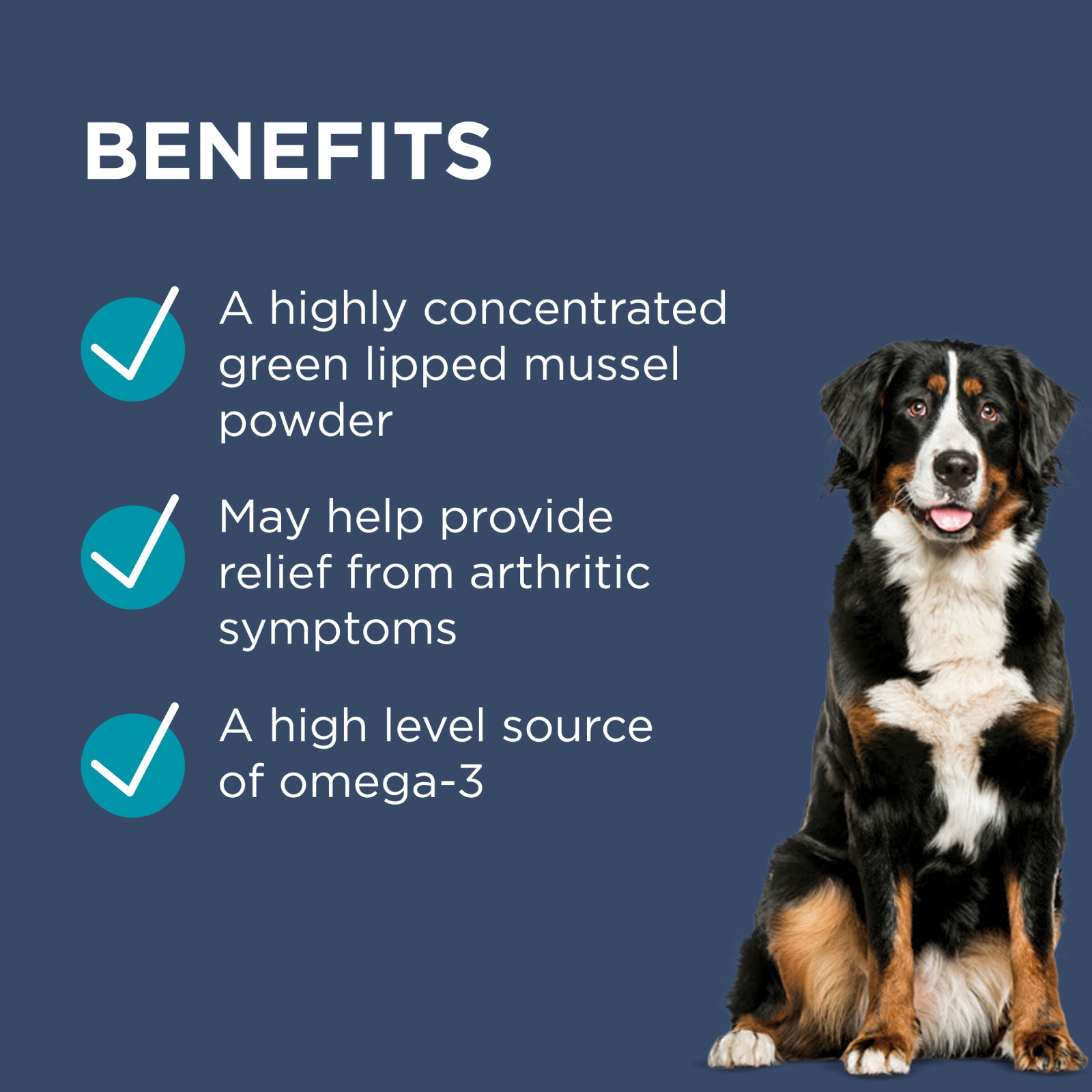 PAW By Blackmores Osteosupport Joint Care Powder Capsules And Osteocare ...