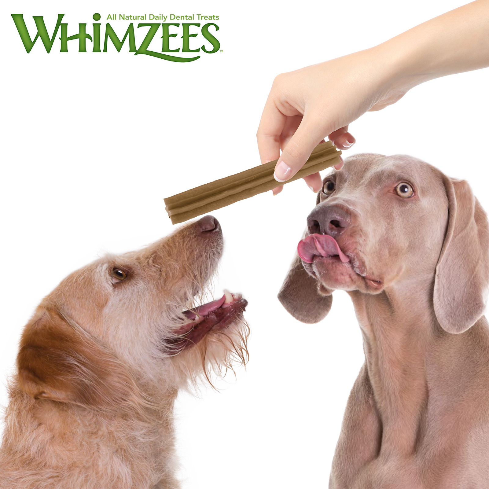 Whimzees Dental Variety Value Box Medium Treats For Dogs 12-18kg 56 ...