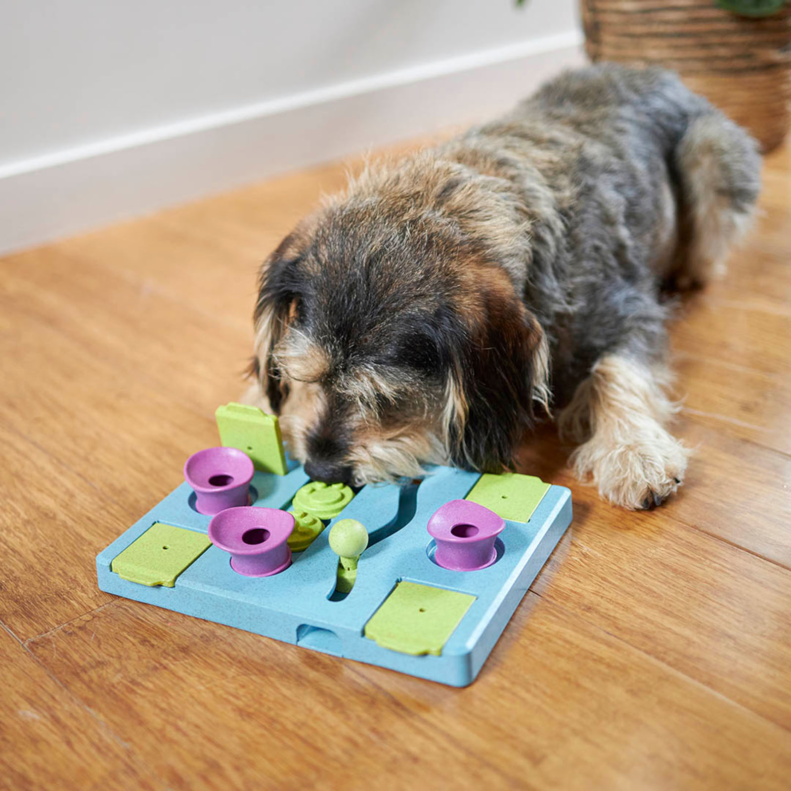 Kazoo Rectangle Rumble Puzzle Play Interactive Slow Feeder Treat ...