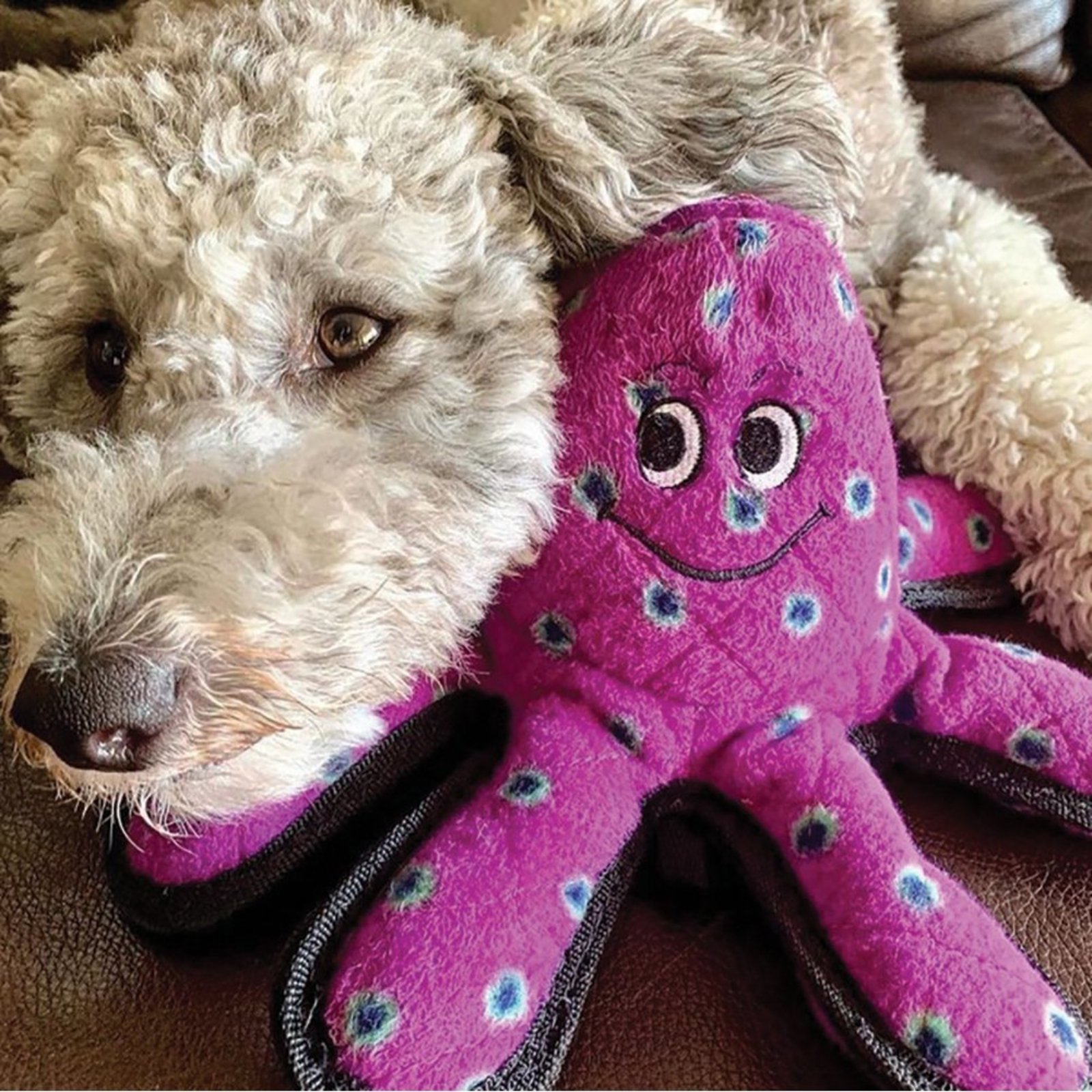 Tuffy Sea Creatures Lil Oscar Small Octopus Tough Plush Toy For Dogs ...