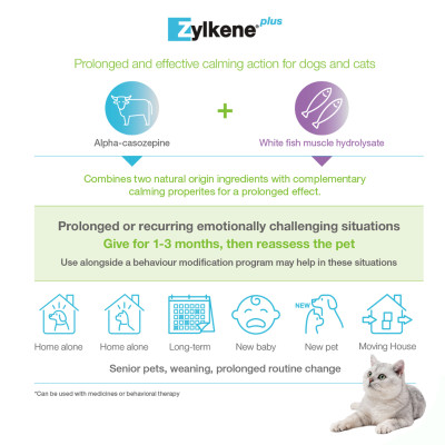 Zylkene Plus Enhanced Formula Calming Nutritional Supplement For Small ...