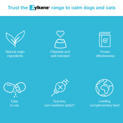 Zylkene Plus Enhanced Formula Calming Nutritional Supplement For Small ...