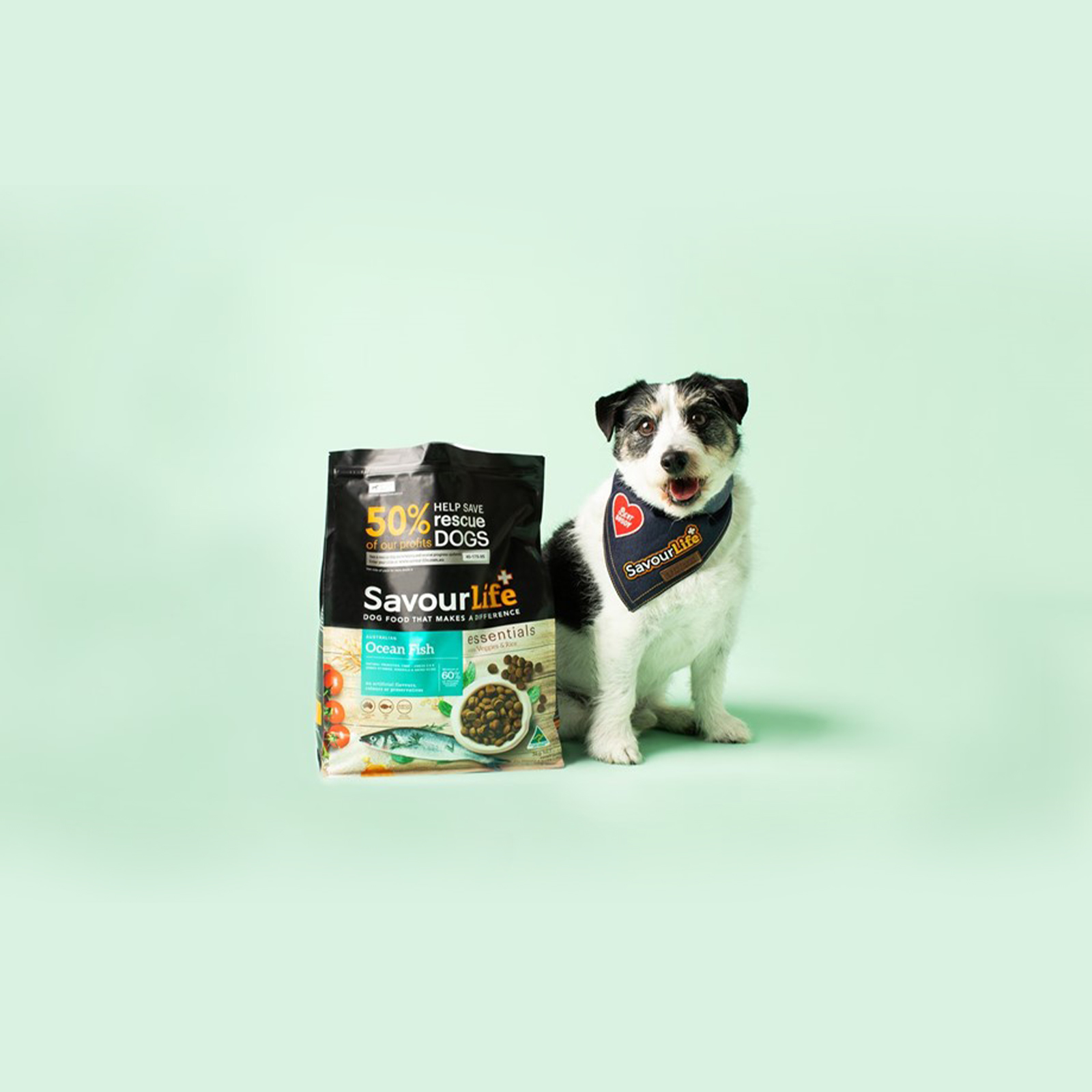 SavourLife Essentials Ocean Fish Natural Adult Dry Dog Food 15kg - $105.62