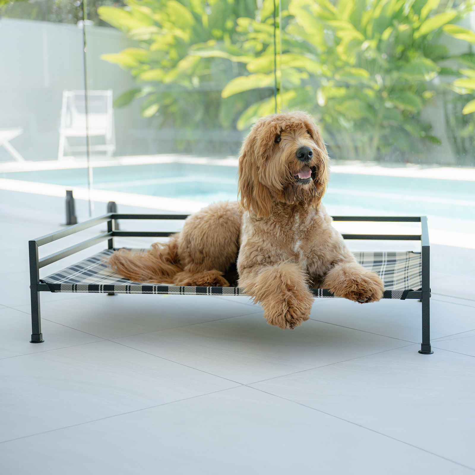 CADoS Haven Premium Elevated Mocha X Large Dog Bed - $73.99