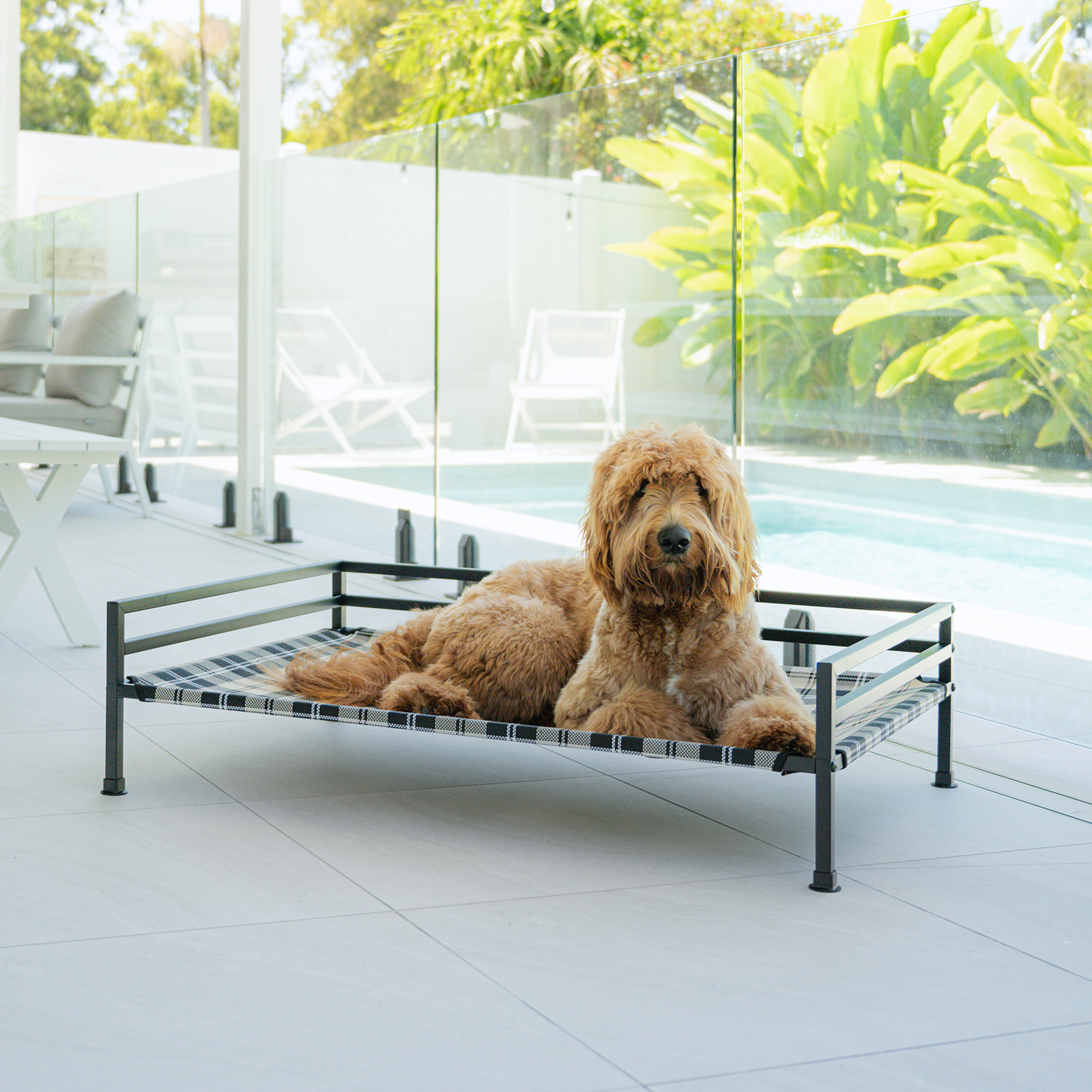 CADoS Haven Premium Elevated Mocha Large Dog Bed - $108.99