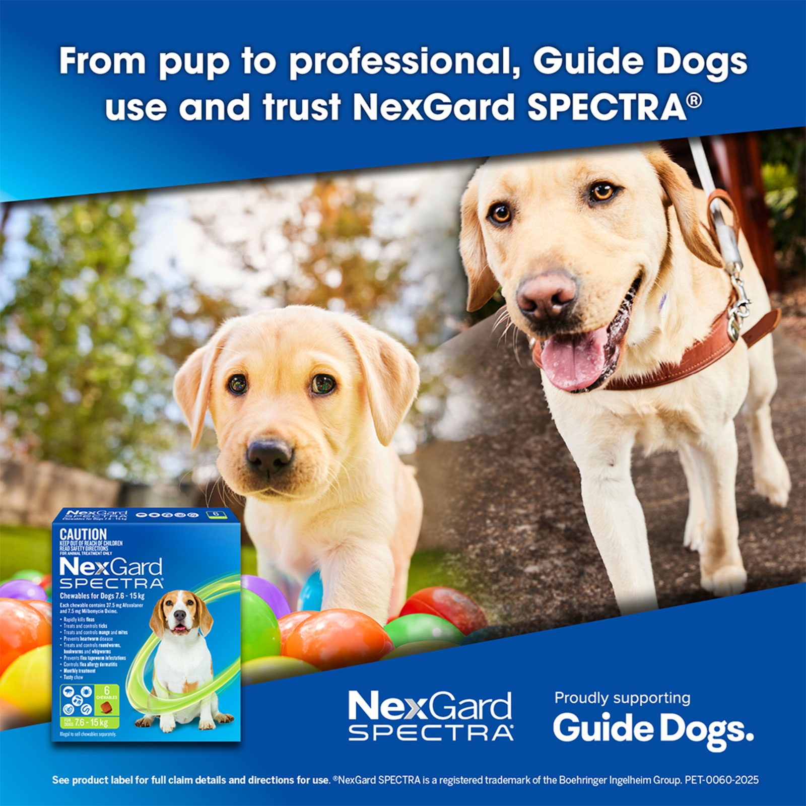 NexGard Spectra Chews Very Large Dog Red 30.1-60kg 3 Pack - $84.99